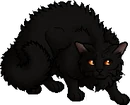 Nightheart (ASC) | Warriors Wiki | Fandom