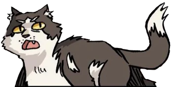 Patchpelt | Warriors Wiki | Fandom