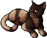 Rowanberry | Warriors Wiki | Fandom