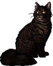 Tigerstar (TPB) | Warriors Wiki | Fandom