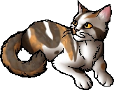 Sorreltail | Warriors Wiki | Fandom