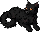 Yellowfang | Warriors Wiki | Fandom