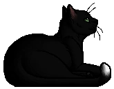 Ravenpaw | Warriors Wiki | Fandom