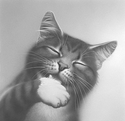 The Fourth Apprentice/Prologue | Warriors Wiki | Fandom