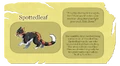 Spottedleaf | Warriors Wiki | Fandom