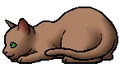 Tawnypelt | Warriors Wiki | Fandom