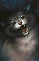 Graystripe | Warriors Wiki | Fandom