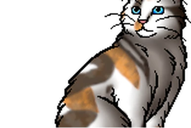 warrior cats cherrykit