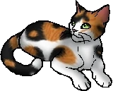 Sweetpaw | Warriors Wiki | Fandom