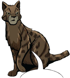 Dustpelt | Warriors Wiki | Fandom