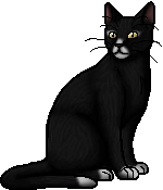 Warriors Wiki talk:Charart/Tweak Page | Warriors Wiki | Fandom