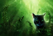 The Forgotten Warrior | Warriors Wiki | Fandom