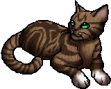 Sweetbriar | Warriors Wiki | Fandom