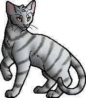 Minor characters/Exile from ShadowClan | Warriors Wiki | Fandom