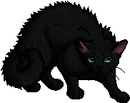Jackdaw's Cry | Warriors Wiki | Fandom
