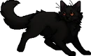 Nightheart (ASC) | Warriors Wiki | Fandom