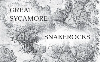 Snakerocks | Warriors Wiki | Fandom