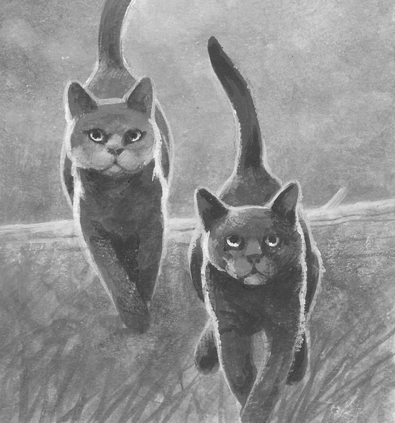 Dawn (book)/Chapter 23 | Warriors Wiki | Fandom