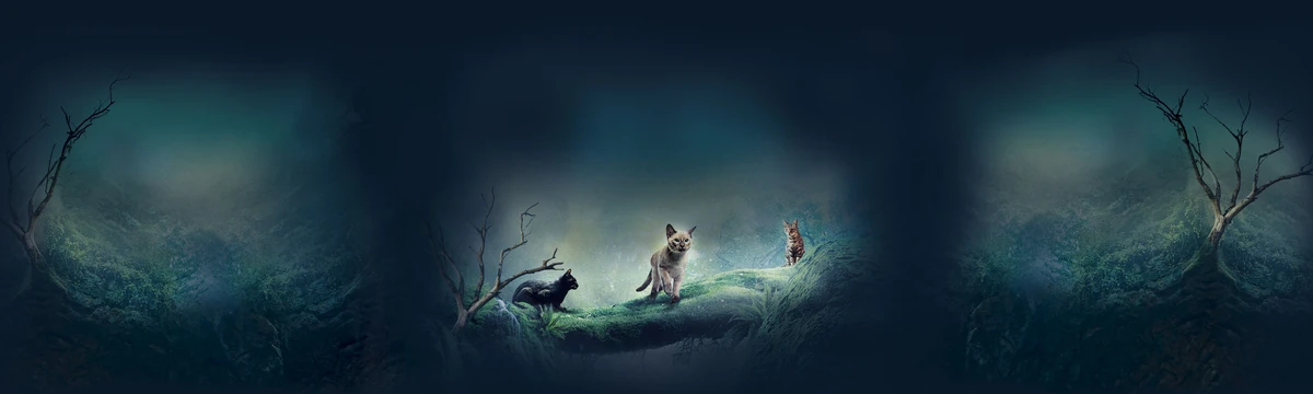 A Starless Clan/Artwork | Warriors Wiki | Fandom