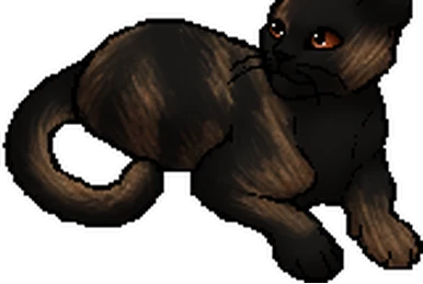 bloomkit warrior cats