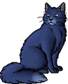 Bluestar | Warriors Wiki | Fandom