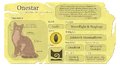 Onestar | Warriors Wiki | Fandom