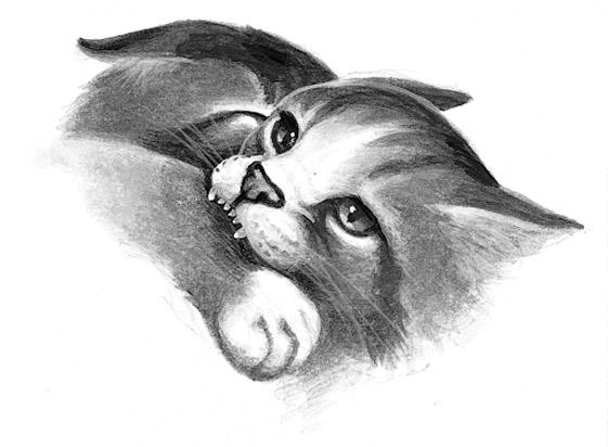 Fighting techniques | Warriors Wiki | Fandom