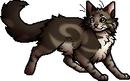 Wafflepelt | Warriors Wiki | Fandom