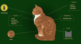 Warrior Cats website | Warriors Wiki | Fandom
