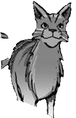 Shellheart | Warriors Wiki | Fandom