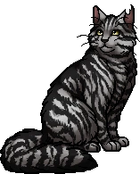 Bumblestripe | Warriors Wiki | Fandom