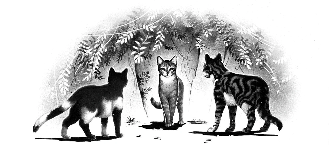 Code of the Clans/Epilogue | Warriors Wiki | Fandom