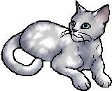 Cloudstar | Warriors Wiki | Fandom