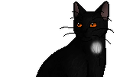 bloomkit warrior cats