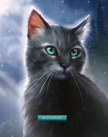 The Ultimate Guide: Updated and Expanded Edition/ThunderClan | Warriors ...