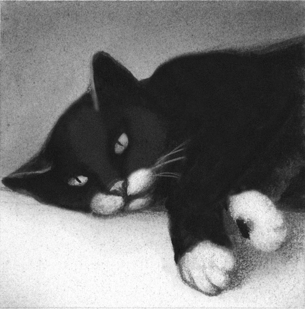 Long Shadows/Chapter 5 | Warriors Wiki | Fandom