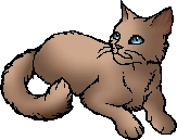 Primrosepaw | Warriors Wiki | Fandom