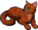 Pinestar | Warriors Wiki | Fandom