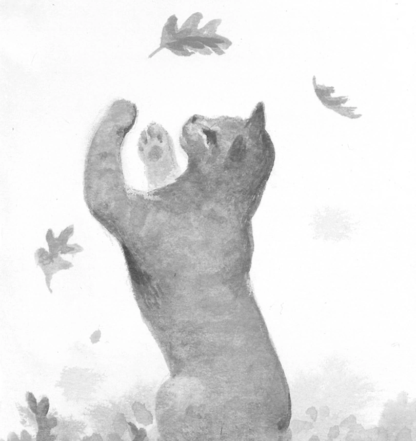 Midnight (book)/Chapter 2 | Warriors Wiki | Fandom