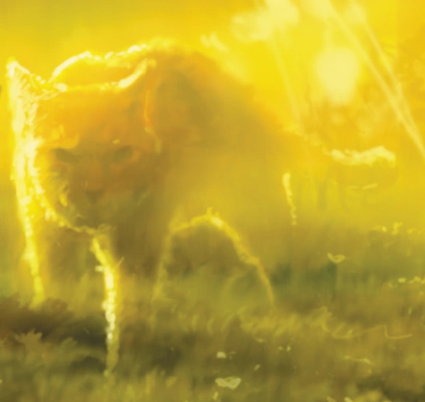 The Broken Code/Artwork | Warriors Wiki | Fandom