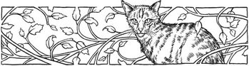 Fading Echoes/Chapter 19 | Warriors Wiki | Fandom