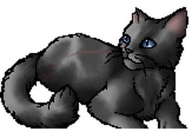 warrior cats cherrykit