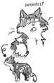 Patchpelt | Warriors Wiki | Fandom