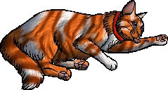 Crystal | Warriors Wiki | Fandom