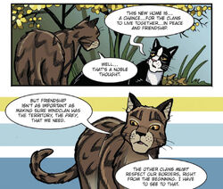 Tallstar | Warriors Wiki | Fandom