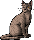 Reedfeather | Warriors Wiki | Fandom