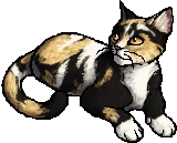 Dappletail | Warriors Wiki | Fandom