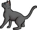 Crowfeather | Warriors Wiki | Fandom