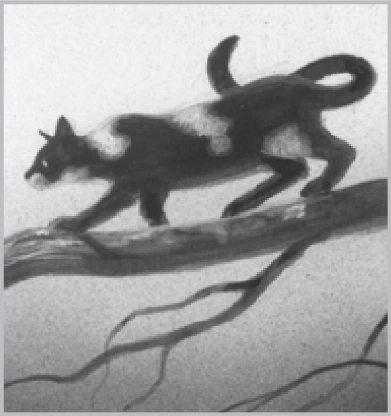 Long Shadows/Chapter 19 | Warriors Wiki | Fandom