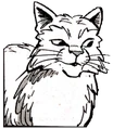 Whitestorm | Warriors Wiki | Fandom